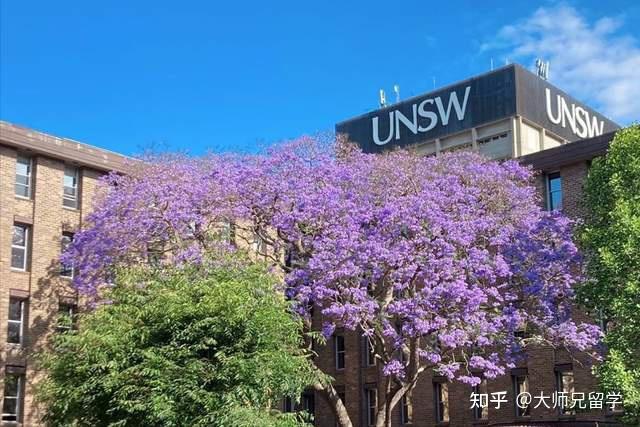博士招生 |澳大利亚新南威尔士大学招收全奖博士生 - 知乎