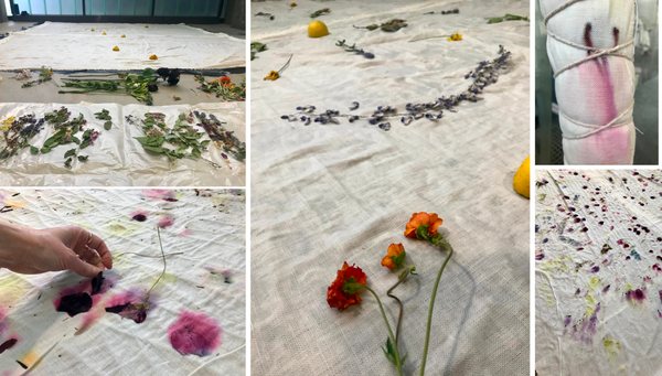 当艺术遇上科学：伦艺圣马丁MA Art and Science带你突破边界，跨界探索！ - 知乎