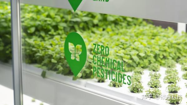 Infarm 的成功之路与中国垂直农业的发展方向 - 知乎