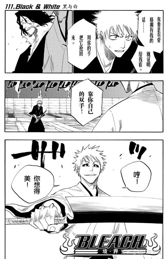 《死神bleach》漫画扉页图（二） - 知乎