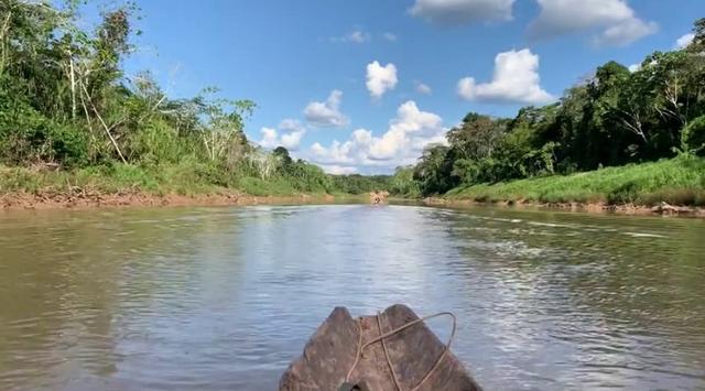 研究发现：一种已经灭绝的猴子，从非洲穿越大西洋来到南美洲 - 知乎