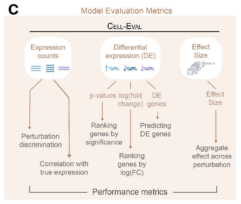 继 Evo 2 之后，Arc Institute 发布首个虚拟细胞模型 STATE，训练数据涉及 70 种不同细胞系 - 知乎