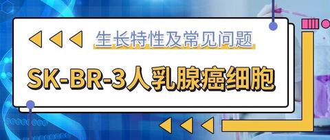 细胞学堂|SK-BR-3人乳腺癌细胞的生长特性及常见问题 - 知乎
