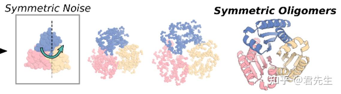 万字长文详细讲解蛋白质设计统一框架RFdiffusion - 知乎