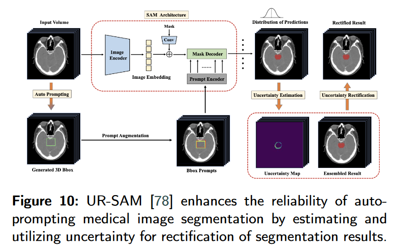 SAM在医学影像中的应用（最新） - 知乎