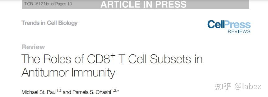 必追的国自然热点：CD8+ T细胞亚群在抗肿瘤免疫中的作用 - 知乎