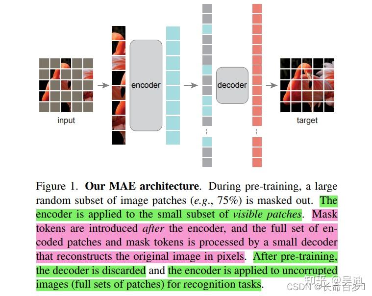 【论文阅读】MAE: Masked AutoEncoder - 知乎