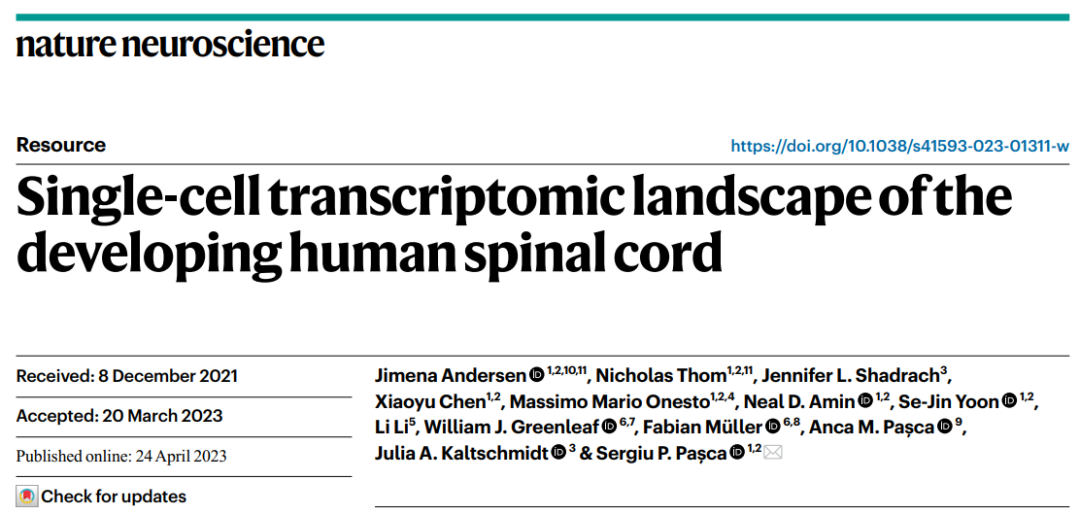 Nat Neurosci | 单细胞转录组揭示人类胚胎脊髓发育 - 知乎