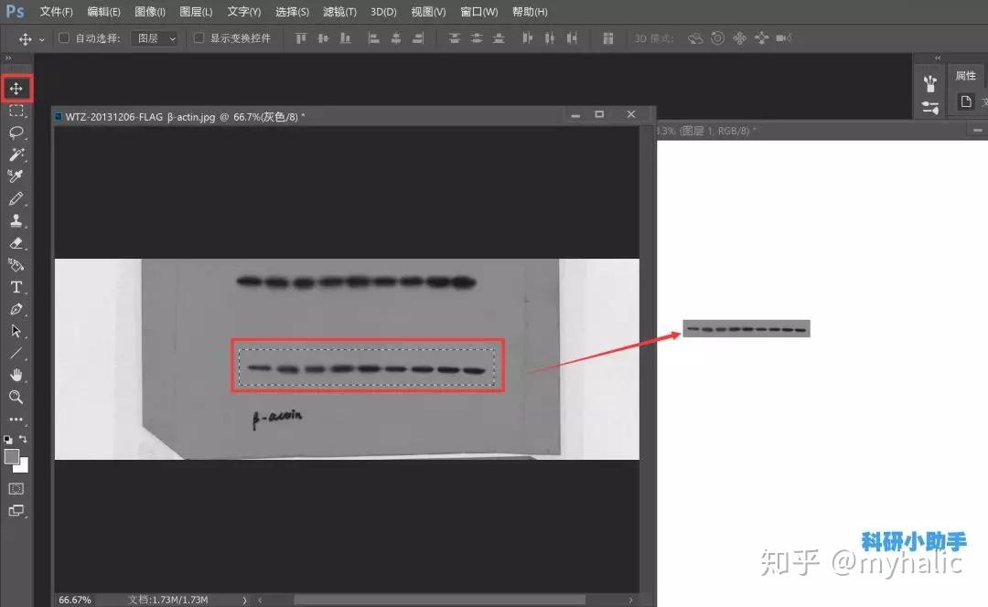 WB图片处理-教你利用Photoshop做出符合杂志要求的WB图片！ - 知乎