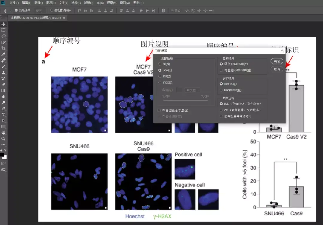 分享|一文精通sci期刊所有图片格式修改 - 知乎