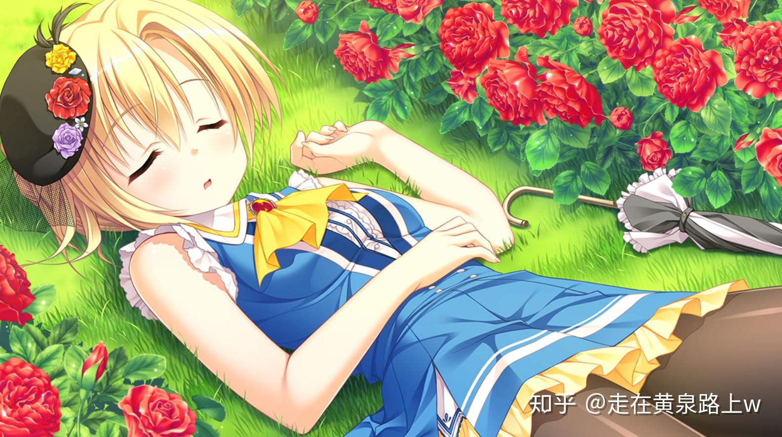 萌新想入坑galgame，有什么好的推荐吗？ - 知乎