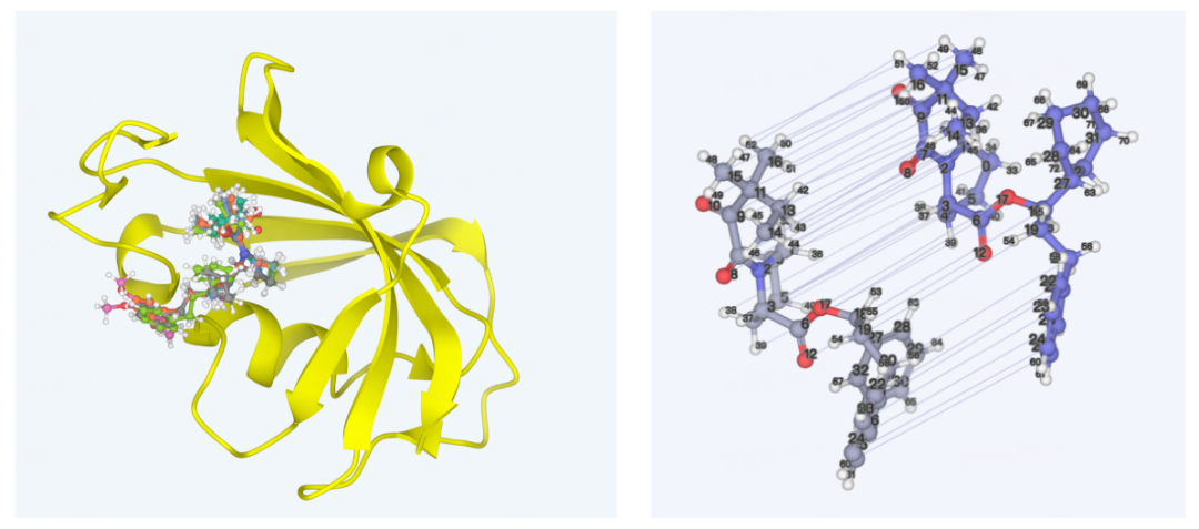 聚焦免疫亲和蛋白，Uni-FEP精确评估化合物与FKBP12亲和力 | 靶点“探月”计划 - 知乎
