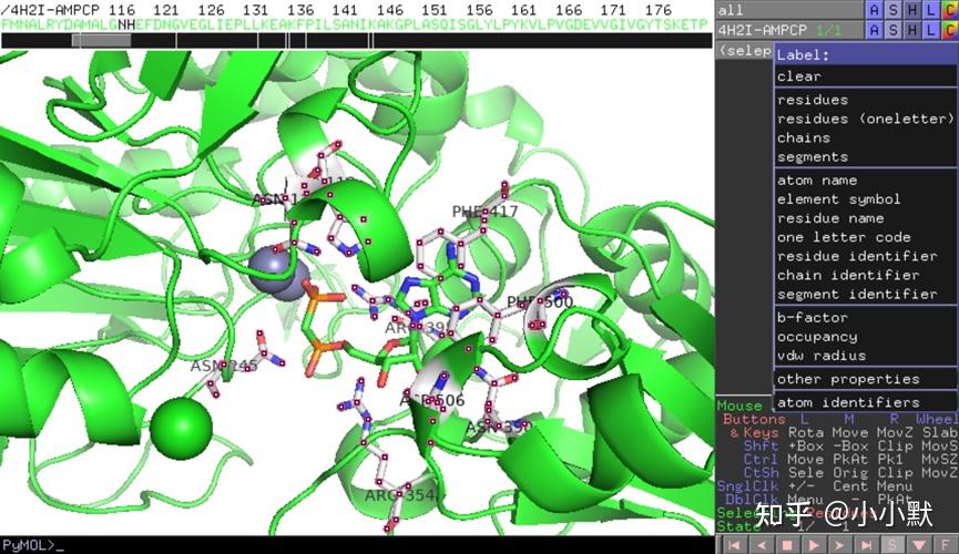 Pymol绘图教程（自用） - 知乎