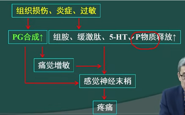 药理学04-2：解热镇痛抗炎药（NSAIDs） - 知乎