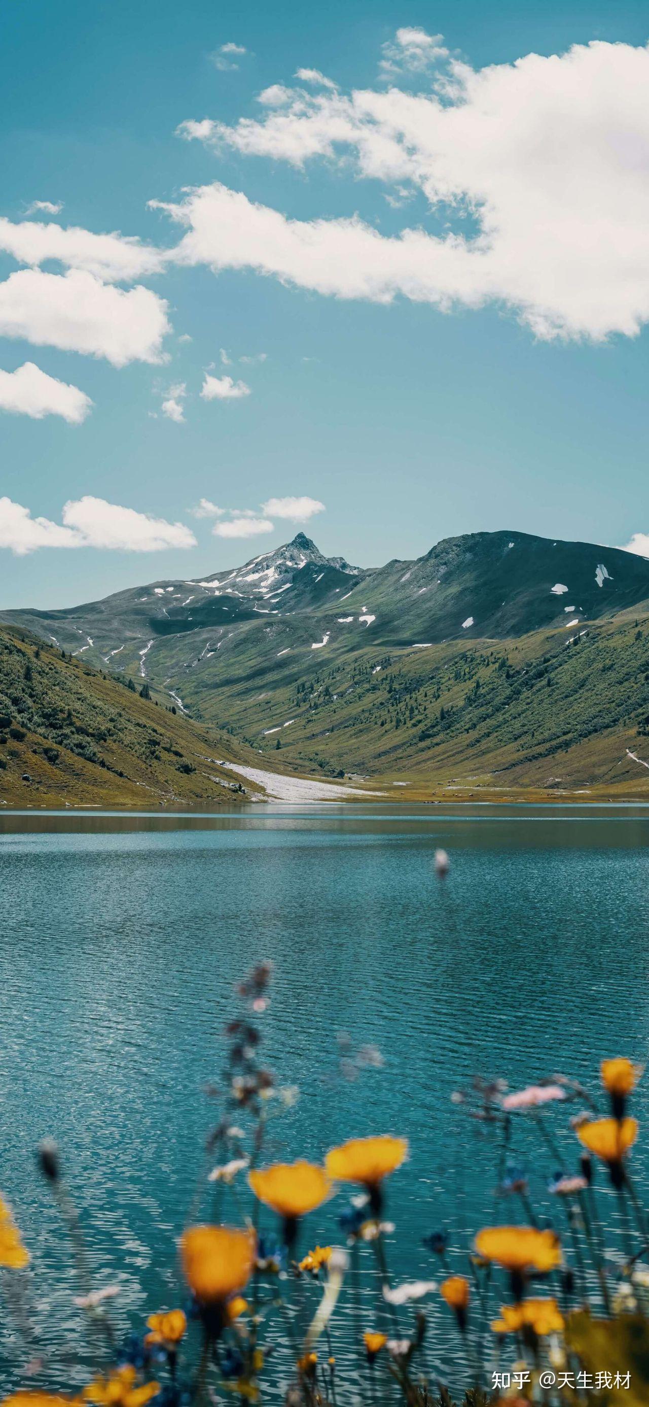 不背单词 年度总结—top10壁纸分享 - 知乎