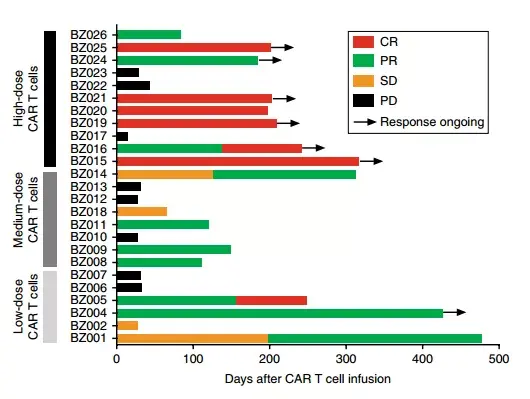 Nat Med | 北大朱军组报道安全有效的抗CD19 CAR T细胞疗法 - 知乎