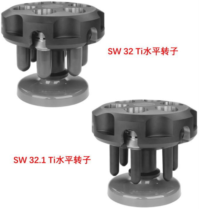 大家来找茬：水平转子中的孪生兄弟 - 知乎