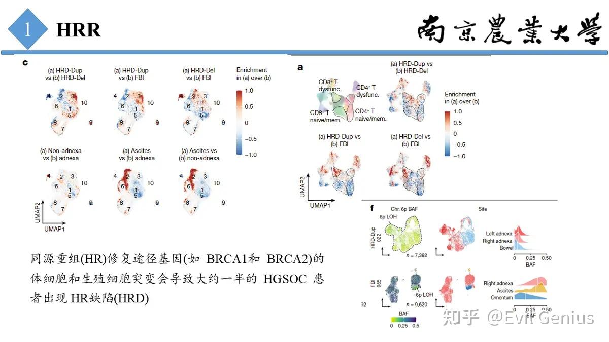 以往内容梳理--HRD与MRD - 知乎