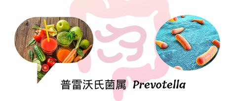 肠道核心菌——戴阿利斯特杆菌属 （Dialister） - 知乎