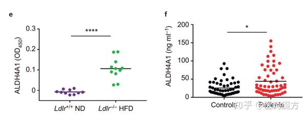 姜宝红点评 | Nature：心血管疾病诊断和治疗新靶点——ALDH4A1 - 知乎