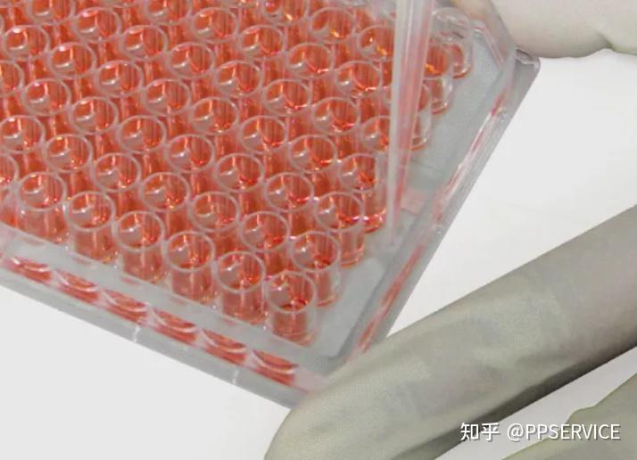 长时间细胞培养总翻车？这款神器让实验效率翻倍！ - 知乎