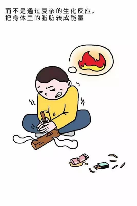 少吃多运动真的可以瘦吗? 知乎