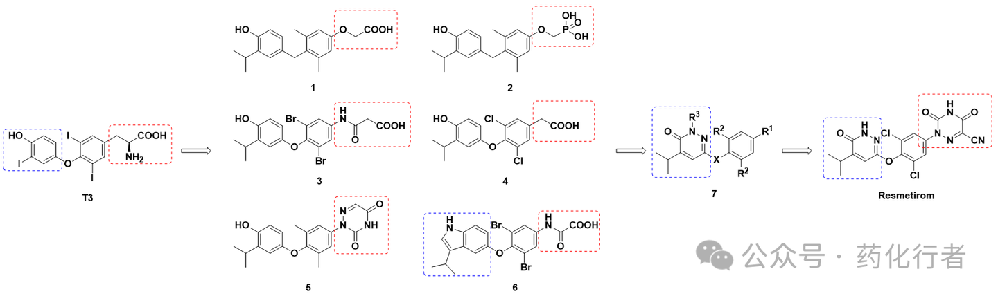 NASH首款新药Resmetirom - 知乎