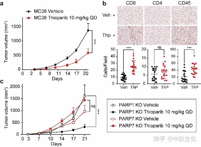 EMBO Molecular Medicine:研发克服奥拉帕尼耐药的新一代PARP抑制剂噻奥哌瑞 - 知乎
