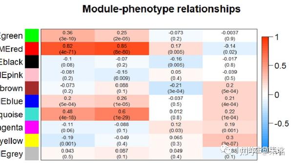 WGCNA最新R代码详细复现（1）|解决旧代码各种bug - 知乎