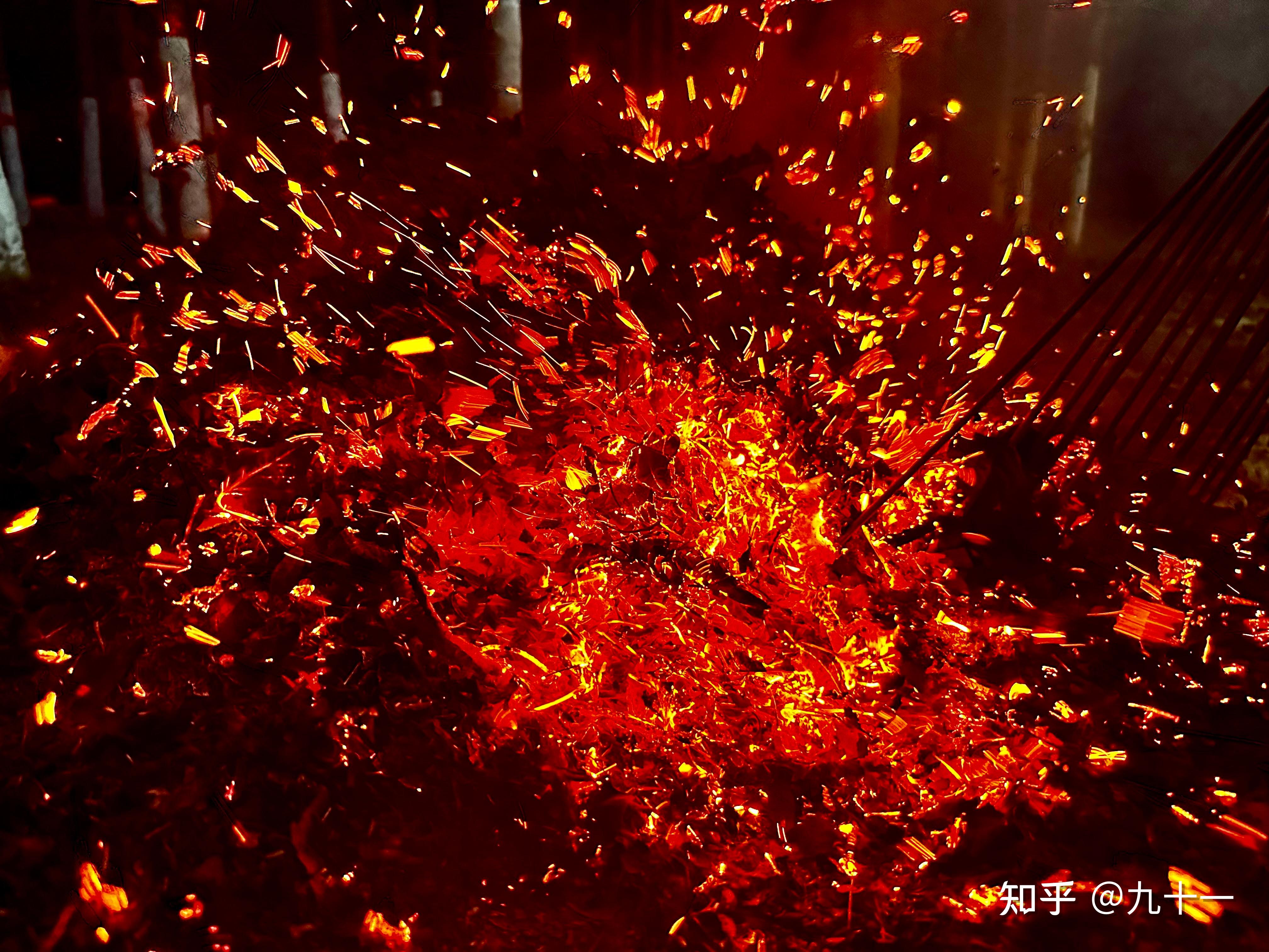 随记 知乎 8169