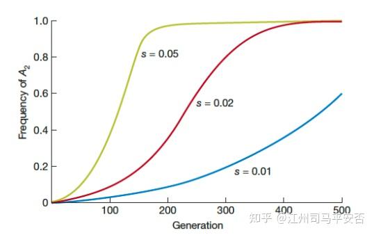 24秋演化生物学课程笔记-群体遗传学之自然选择 - 知乎