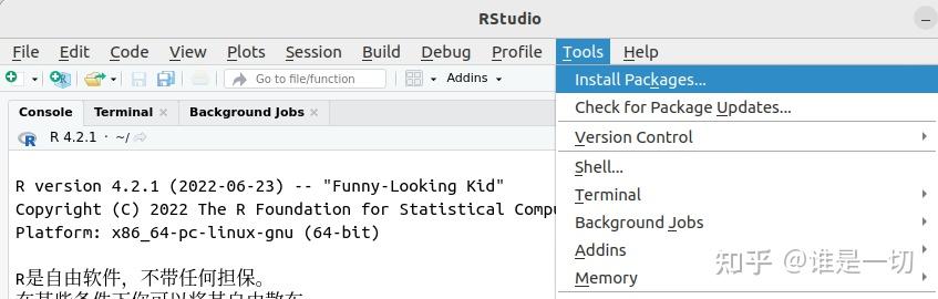 Ubuntu22.04下载安装R、Rstudio、R包 - 知乎