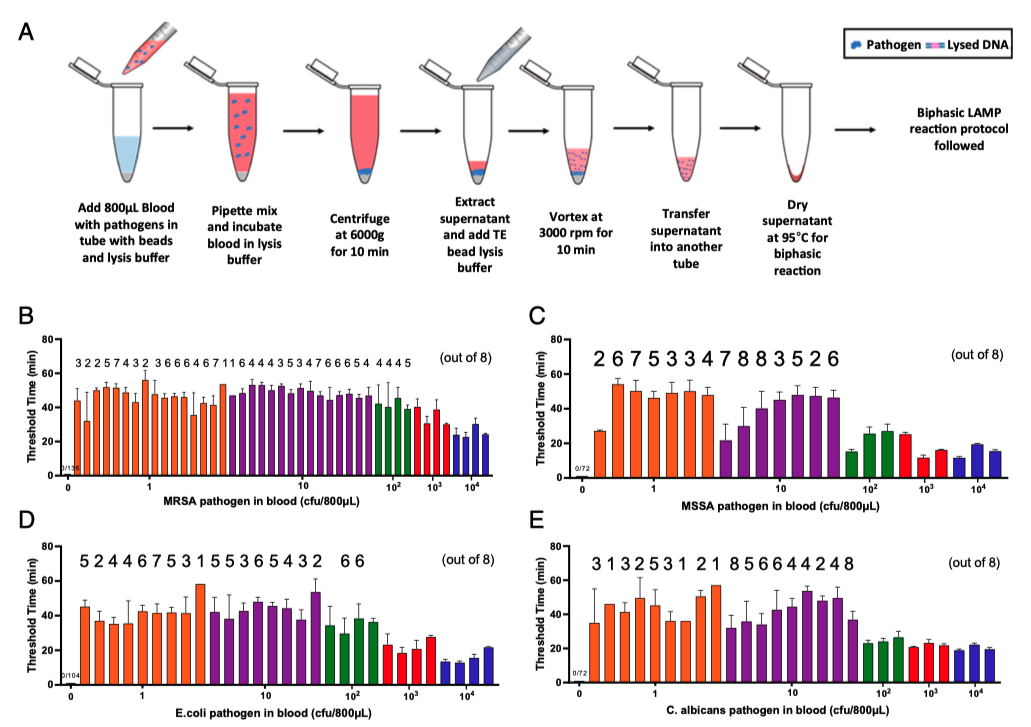PNAS丨血源性感染检测重大突破，5天——>2小时 - 知乎