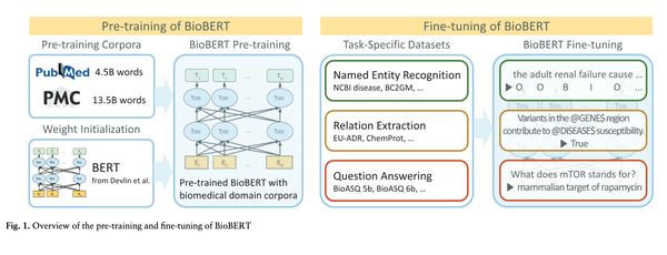 [27] BioBERT: 生物医学领域自己的 BERT 模型 - 知乎