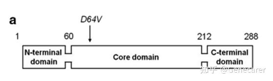 非整合酶慢病毒（IDLV）在动物模型构建中的应用举例 - 知乎