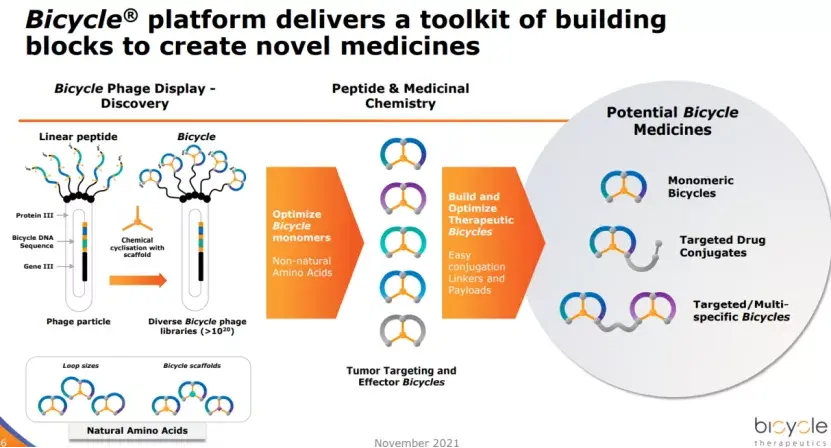 多肽偶联物（PDC）会是下一个风口？一文解读全球热点在研PDC及其技术 - 知乎