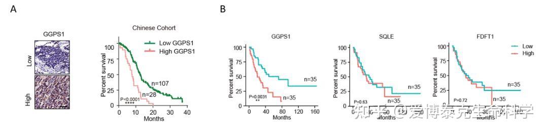 季红斌课题组Nature Cancer揭示小细胞肺癌化疗耐药的新机制 - 知乎