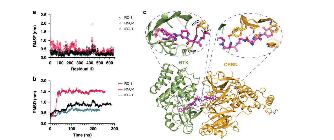 Nat Comm | 可逆共价基团显著提高PROTAC分子在细胞内的累积与靶向参与作用 - 知乎