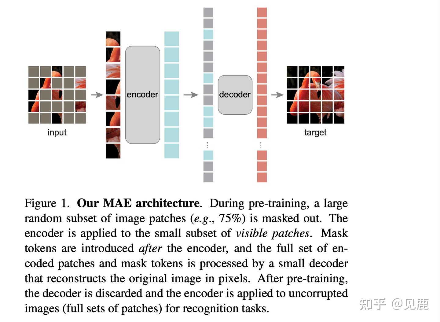 [No.66]「自监督图像理解」Masked Autoencoders Are Scalable Vision Learners(MAE) - 知乎