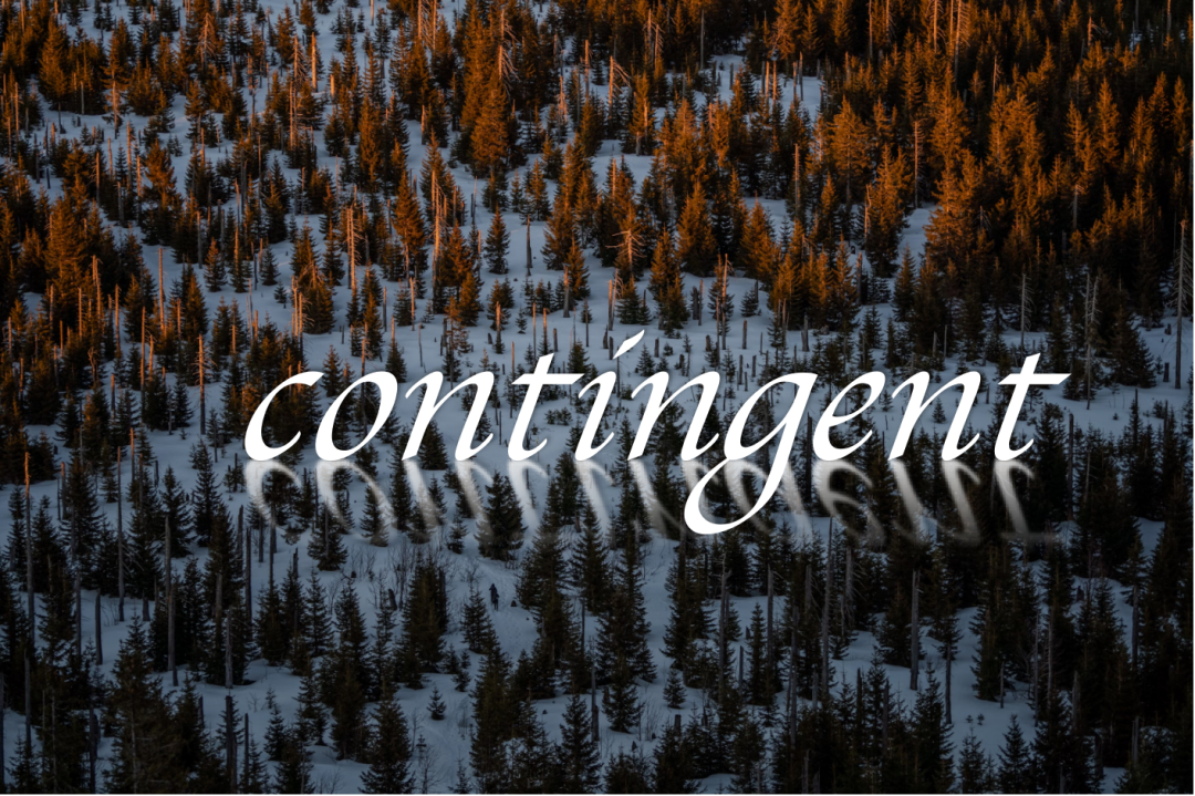 小词详解 | contingent - 知乎