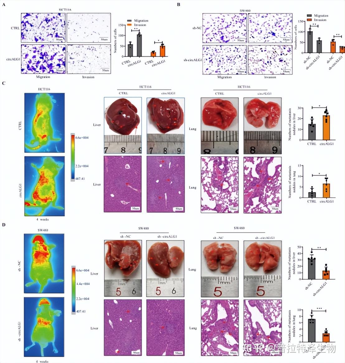 m6A+ceRNA发了41.444分，你行吗？ - 知乎