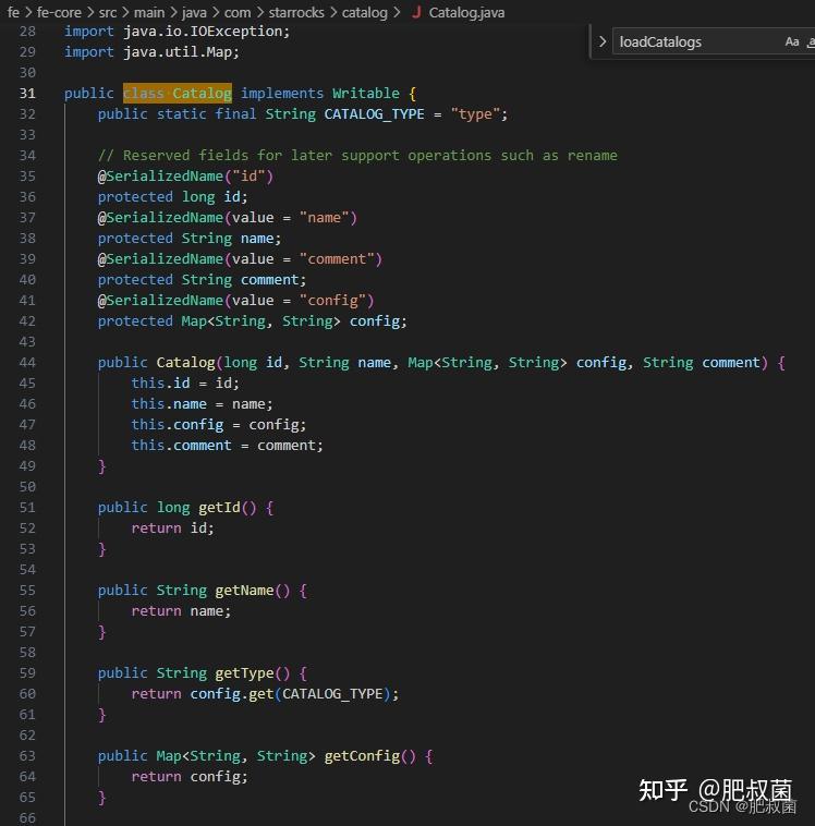 StarRocks数据库FE——Catalog层 - 知乎