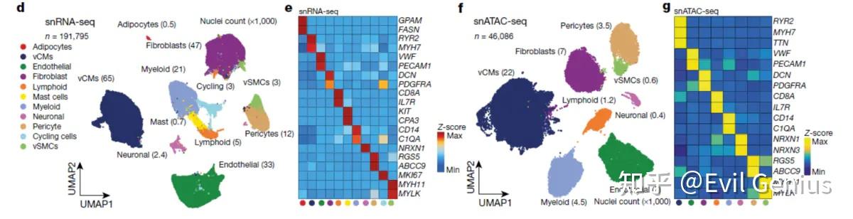 单细胞多组学（RNA + ATAC）联合分析的智慧 - 知乎