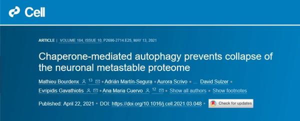 MCE | 分子伴侣介导的自噬 - 知乎