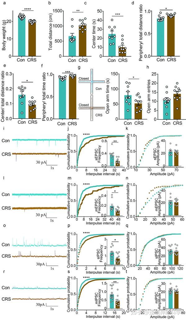 NPP︱南方医科大学高天明院士团队揭示mGluR5介导压力所致焦虑样行为的细胞机制 - 知乎