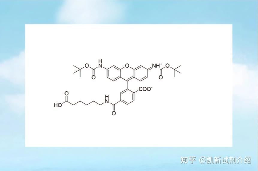 快速了解：Carboxyrhodamine 110 LC Acid的优势与应用 - 知乎