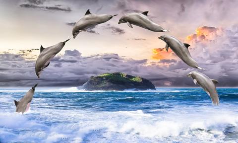 ImageJ实用技巧——3D渲染动画(插件篇) - 知乎