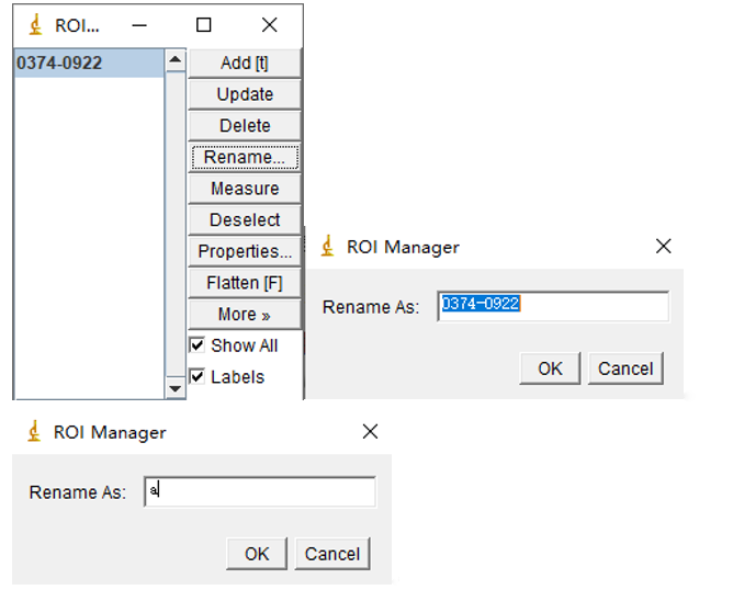 免疫荧光图片Merge，荧光强度统计PS+ImageJ - 知乎
