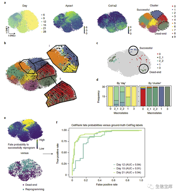 Cellrank：细胞分化轨迹的新秀 - 知乎