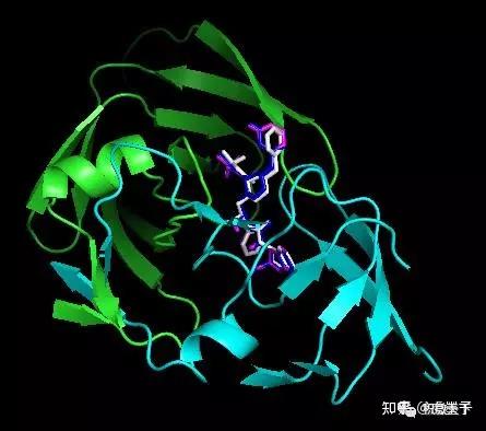 分子对接简明教程 - 知乎